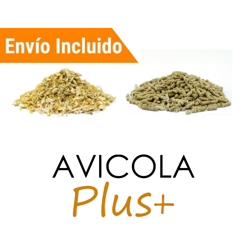 Avícola PLUS 6 Meses